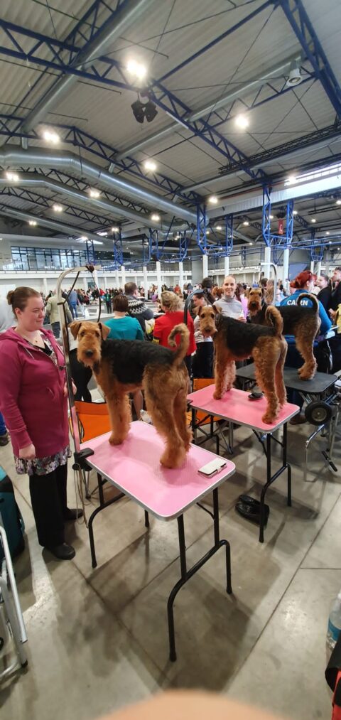 Reissussa Liettuassa | Kennel Raginei´s